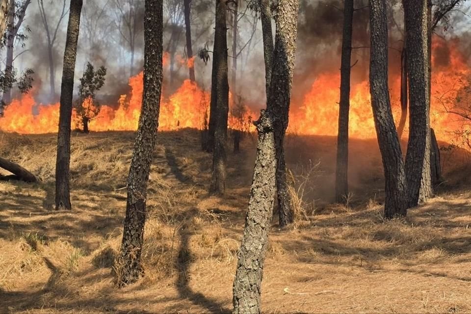 Lo vinculan por provocar incendio en Bosque del Centinela